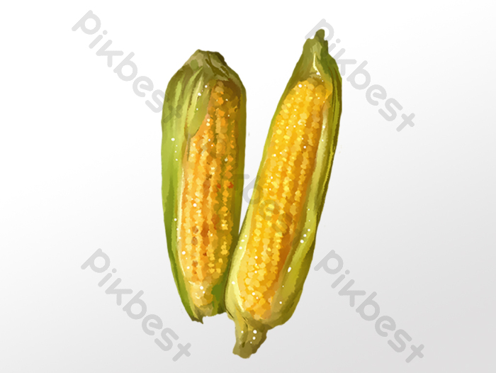 Drawing Agricultural Corn PNG Images | PSD Free Download - Pikbest