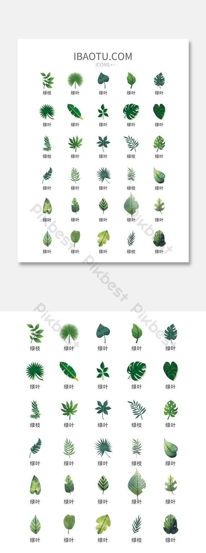 Daun Daun Digambar Tangan Daun Digambar Tangan Elemen Tanaman Daun Daun ...
